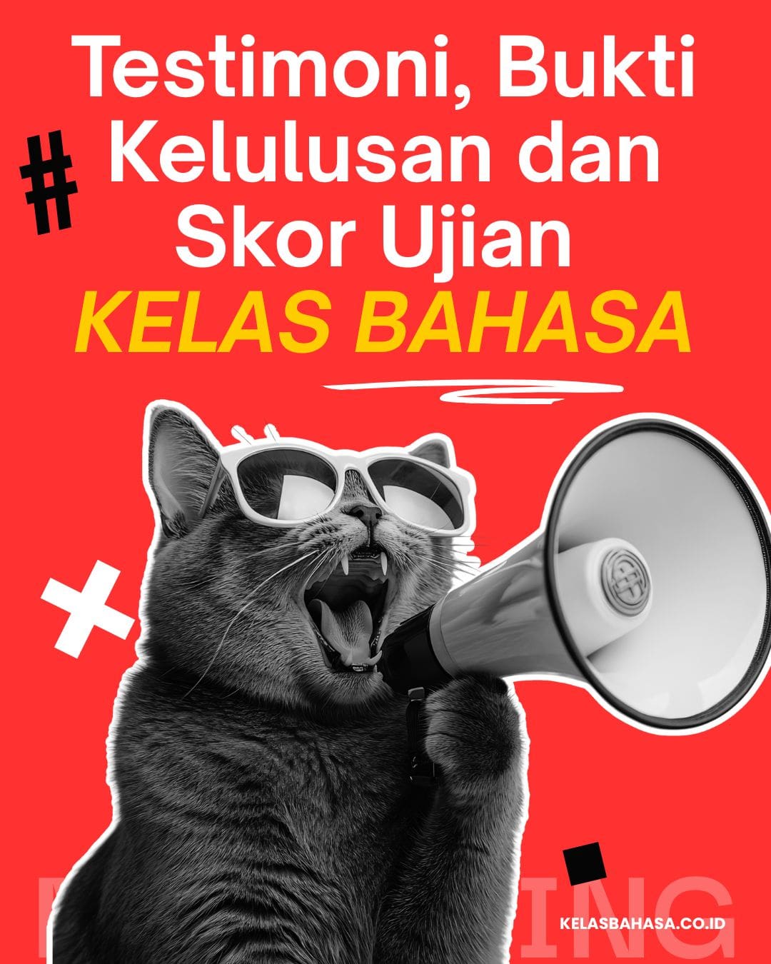 Testimoni - Kelas Bahasa